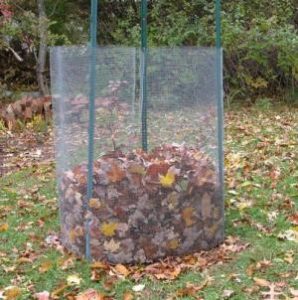 Preparing your Roses for Winter - Wenke Greenhouses