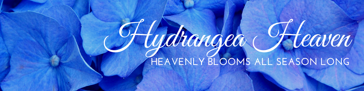 Wenke Wisdom Archives - Wenke Greenhouses