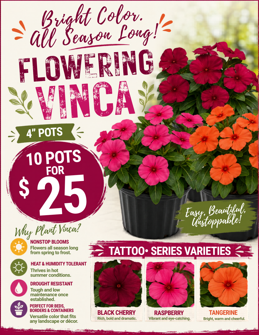 Wacky Wednesday June 3, 2026 - Wenke Greenhouses